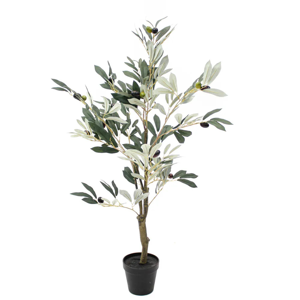 Olive Tree 3' – United Floors Courtenay